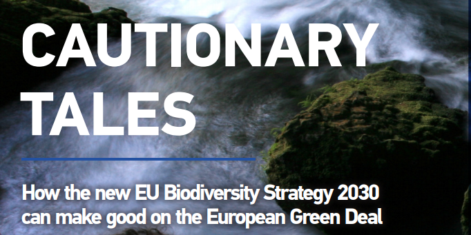 Cautionary tales: how the new EU Biodiversity Strategy 2030 can make ...