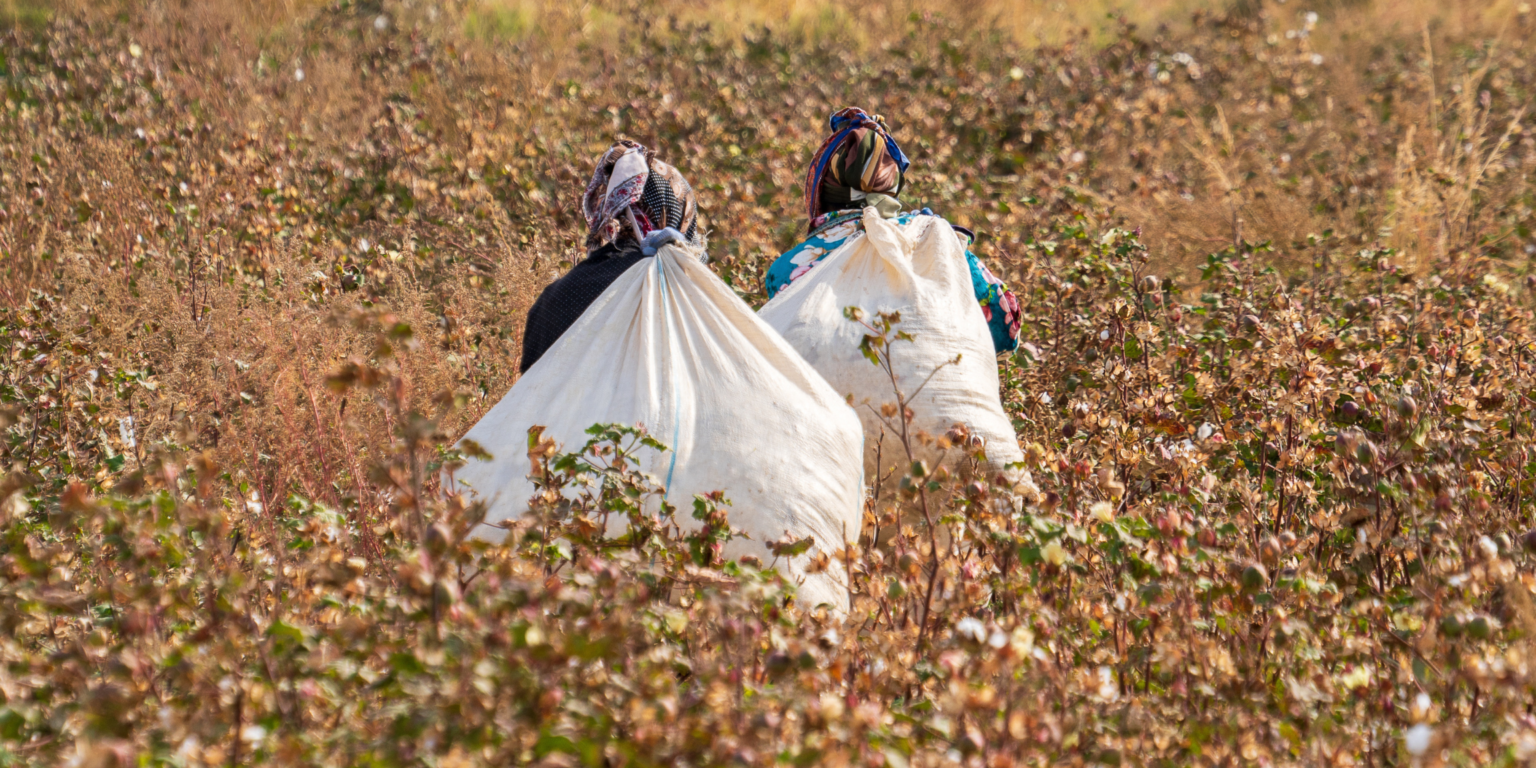 More than money: New report reveals shortcomings in human rights ...