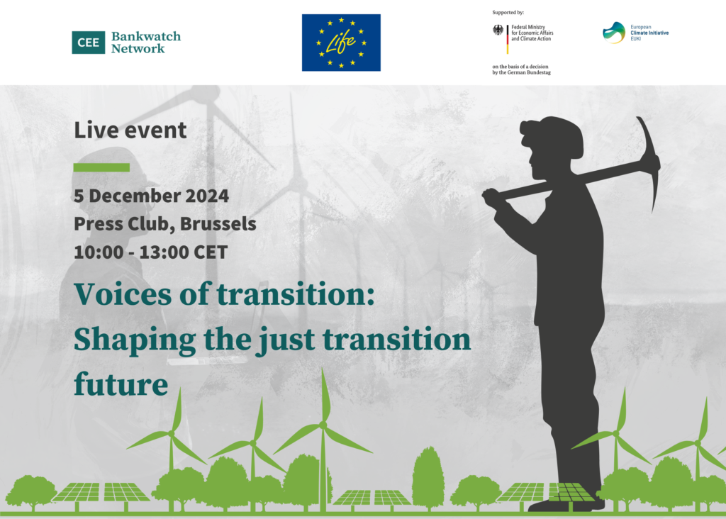 Voices of transition: Shaping the just transition future - Bankwatch